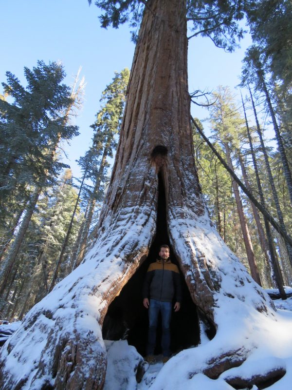 Visitar el Parque de SEQUOIA en invierno • El Atlas de MB